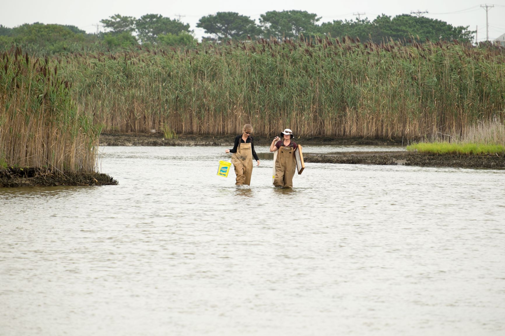 Under the Surface of East Harbor - Common Thread