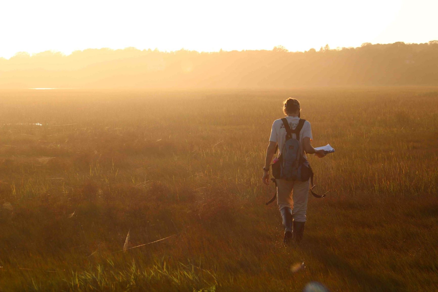 Under the Surface of East Harbor - Common Thread
