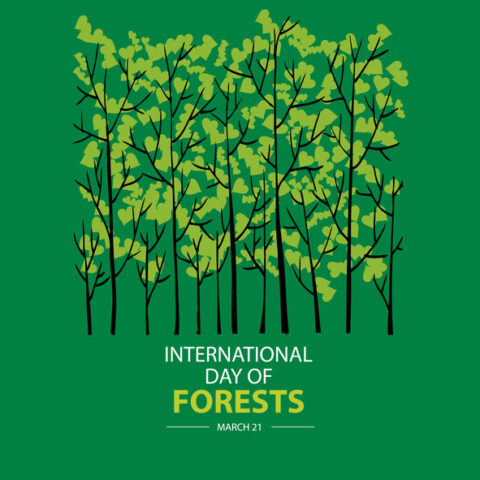 International Day of Forests - Common Thread